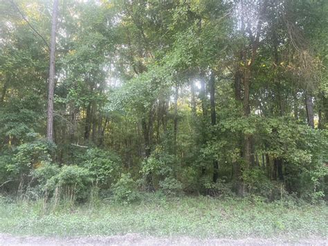 Riverwood Rd Tallahassee Fl 32303 Mls Ok224029 Redfin