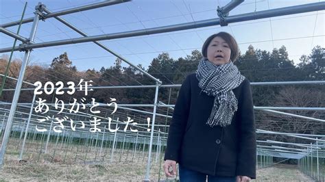 葡蔵人 こんにちは。 今年もたくさん応援📣📣いただきありがとうございました😊💕 来年も Bookroadのワインが皆さまのhappyの種⭐