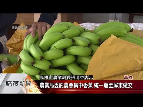 農糧署收購香蕉去化 高雄無收購點惹爭議 客家電視台