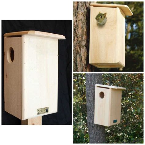 Birdhouses Birds Ckb Ltd® Squirrel House Nesting Box Made From Pine