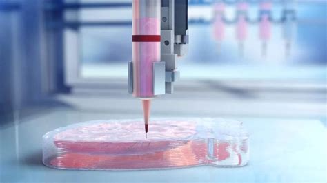How Bioprinting Works T3mPLATE
