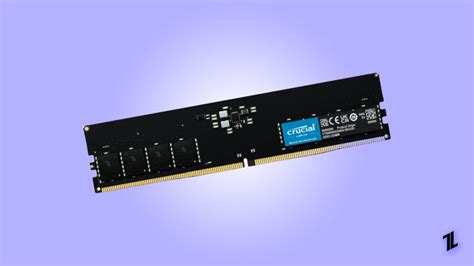 5 Best Budget Ddr5 Rams Rgb And Non Rgb In 2025 Techlatest