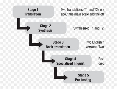 Graphic Representing Stages Of The Cross Cultural Adaptation Stages