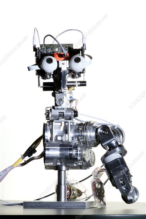 Icub Robot Stock Image C004 1316 Science Photo Library