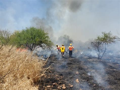 Protección Civil Sonora Combate A Incendios Forestales