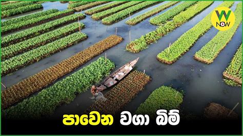 පාවෙන වගා බිම් Youtube