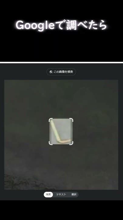 この可愛い生き物は何？！ Youtube