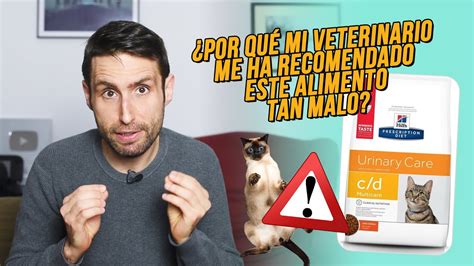Descubre Por Qué La Comida Para Gatos Hills Es La Mejor Opción Para La