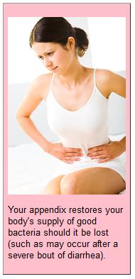 So What Does Your Appendix Do Anyway SikhNet