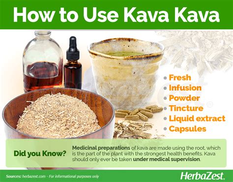Kava Kava HerbaZest