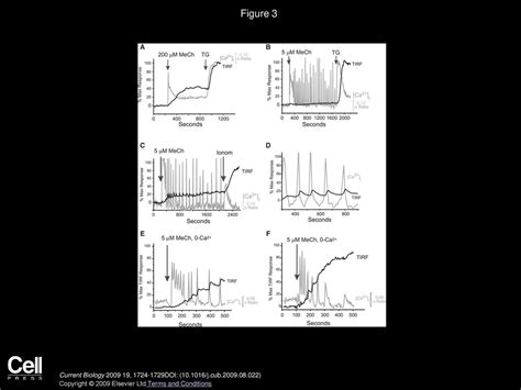 Stim1 Is A Calcium Sensor Specialized For Digital Signaling Ppt Download