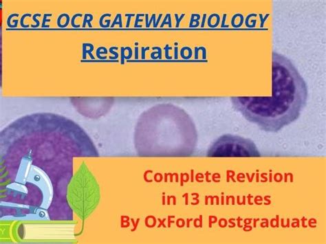GCSE OCR GATEWAY BIOLOGY RESPIRATION COMPLETE REVISION Teaching