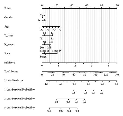 Clinical Correlation Analysis And Nomogram Af The Level Of Model