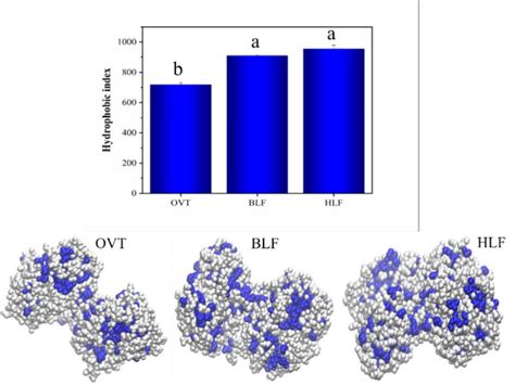 Surface Hydrophobicity And Visualized 3d Structure Hydrophobic Groups