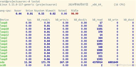 linux 下查看 cpu 使用率 csdn博客