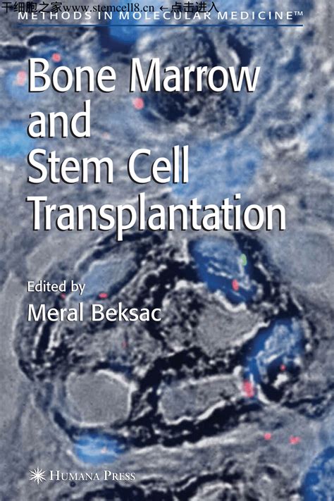 Pdf Identification Of Bone Marrow Derived Nonhematopoietic Cells By
