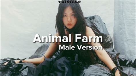 Bibi Animal Farm Male Version Youtube