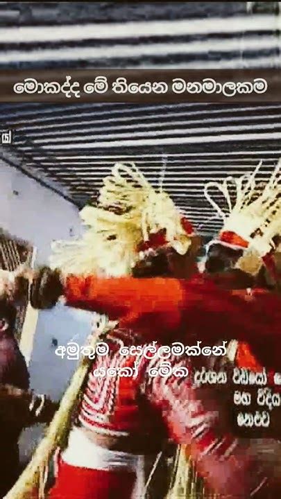 හපොයි🤪 හින්දි චිත්‍රපටි වල වත් නෑනේ මෙහෙම Youtube