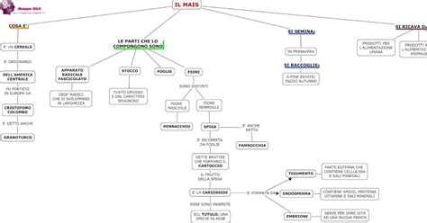 Mappe Dsa