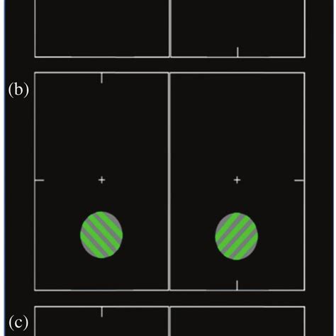 A Single Dichoptic Stimulus Rivaling In Only Chromaticity Or B