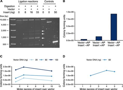 Optimized Construction Of A Yeast Siclopps Library For Unbiased In Vivo