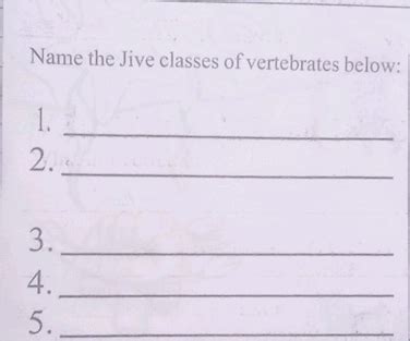 Name The Jive Classes Of Vertebrates Below Studyx