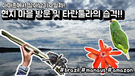 혼자 떠난 남미여행 브라질 마나우스 Brazil Manaus 아마존에서 살아남기 2일차 현지 마을 방문 및