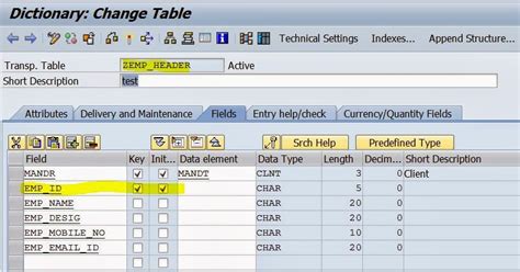 TECHSAP SAP LUW DB LUW