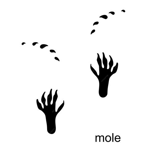 Pegada De Toupeira Trilha De Toupeira Etapas De Toupeira Handprint Na