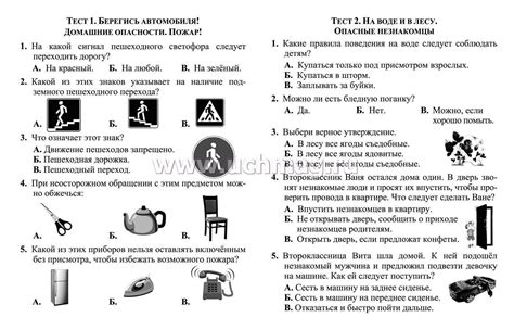 Презентация тест по окружающему миру 2 класс