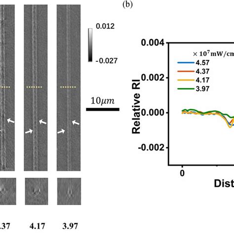 3d Reconstruction Of Refractive Index For Five Parallel Waveguides Download Scientific Diagram