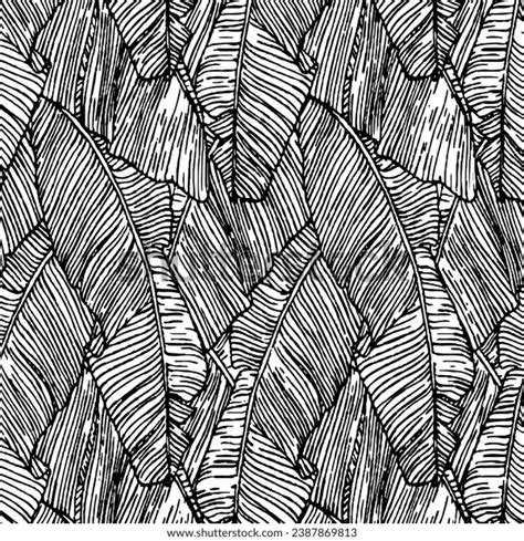 Banana Leaf Print Created Illustrator Stock Vector Royalty Free 2387869813 Shutterstock