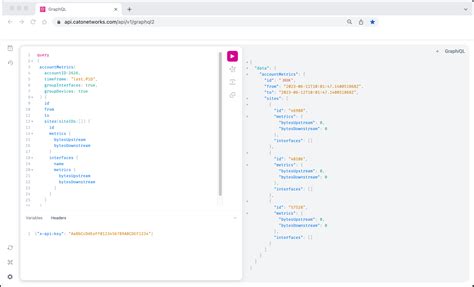 Connecting To The Cato Api From The Graphql Playground Cato Learning