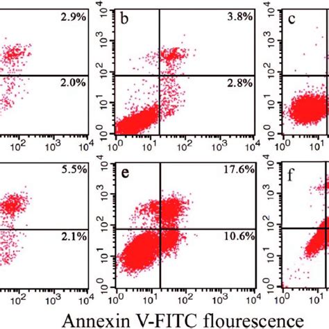 Apoptosis Of Hepg2 Cells After Xka Treatment As Revealed By Flow