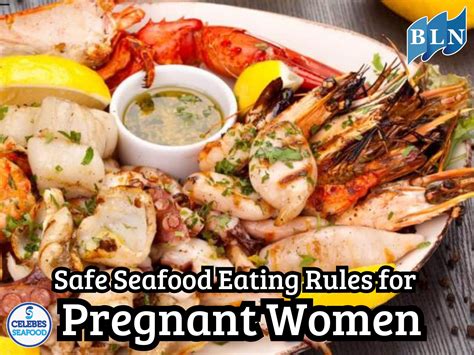 7 Stages Of Mantis Shrimp Life Cycle