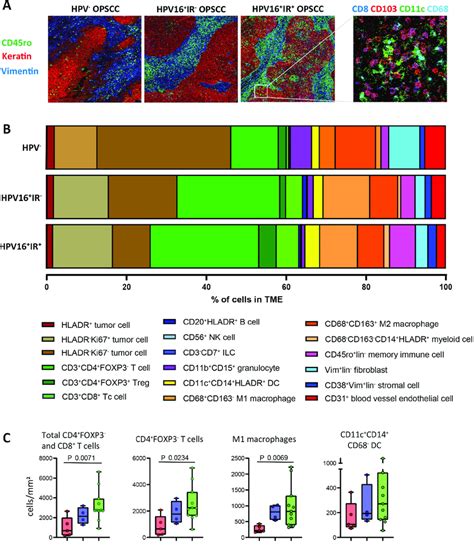 Imaging Mass Cytometry Identifies Cell Clusters Present In Different