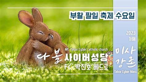 23 04 12 박진호 베드로 신부 매일미사 강론 부활 팔일 축제 수요일 Youtube