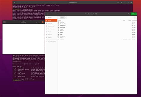 GUIDA Ecco Come Accedere A OneDrive Su Linux Grazie A OneDriver