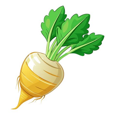Parsnip Clipart Vector Illustration Premium Ai Generated Vector