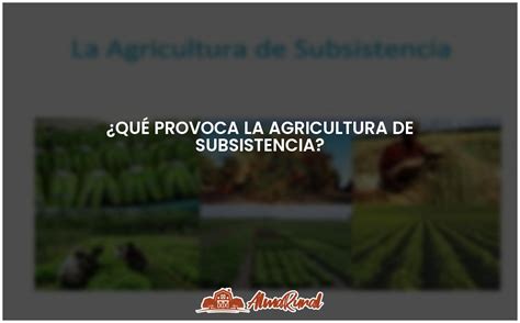Impacto De La Agricultura De Subsistencia Causas Y Consecuencias