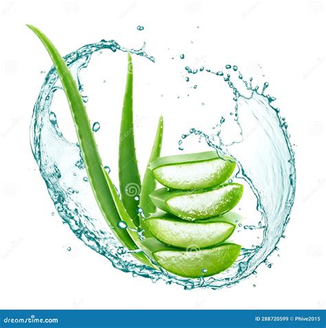 Aloe Vera Slices With Water Splash Isolated Stock Image Image Of Vera