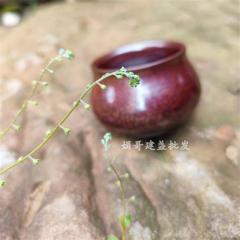 建阳佛肚柴烧建盏原矿秞全手工主人杯铁锈松针200毫升产地发杯子虎窝淘