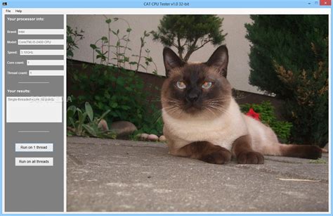 Cat Cpu Tester Download Free Windows 1 0 Softpedia
