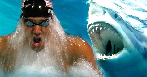 Michael Phelps Will Race A Great White During Shark Week