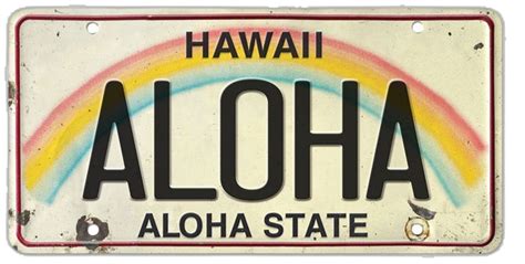 Vintage Hawaiian Embossed License Plate Aloha Beach Vibes License