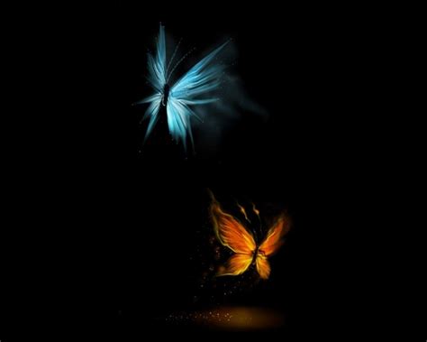 Butterfly Effect Wallpapers Top Free Butterfly Effect Backgrounds