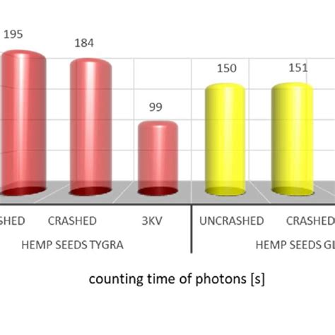 Photon Structure In Individual Measurement Time Intervals For Each