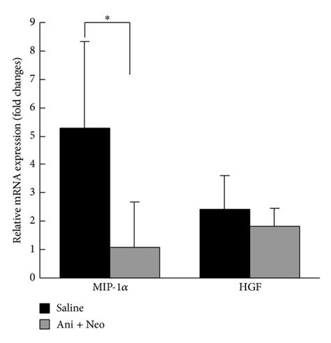 Quantitative Reverse Transcription Pcr Detection Of The Mrna Levels Of
