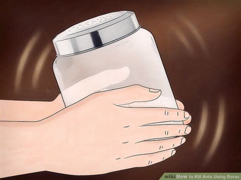 The Best Ways To Kill Ants Using Borax Wikihow