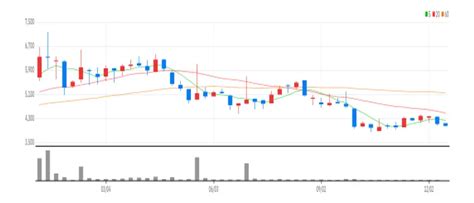 브리지텍 주가전망 분석